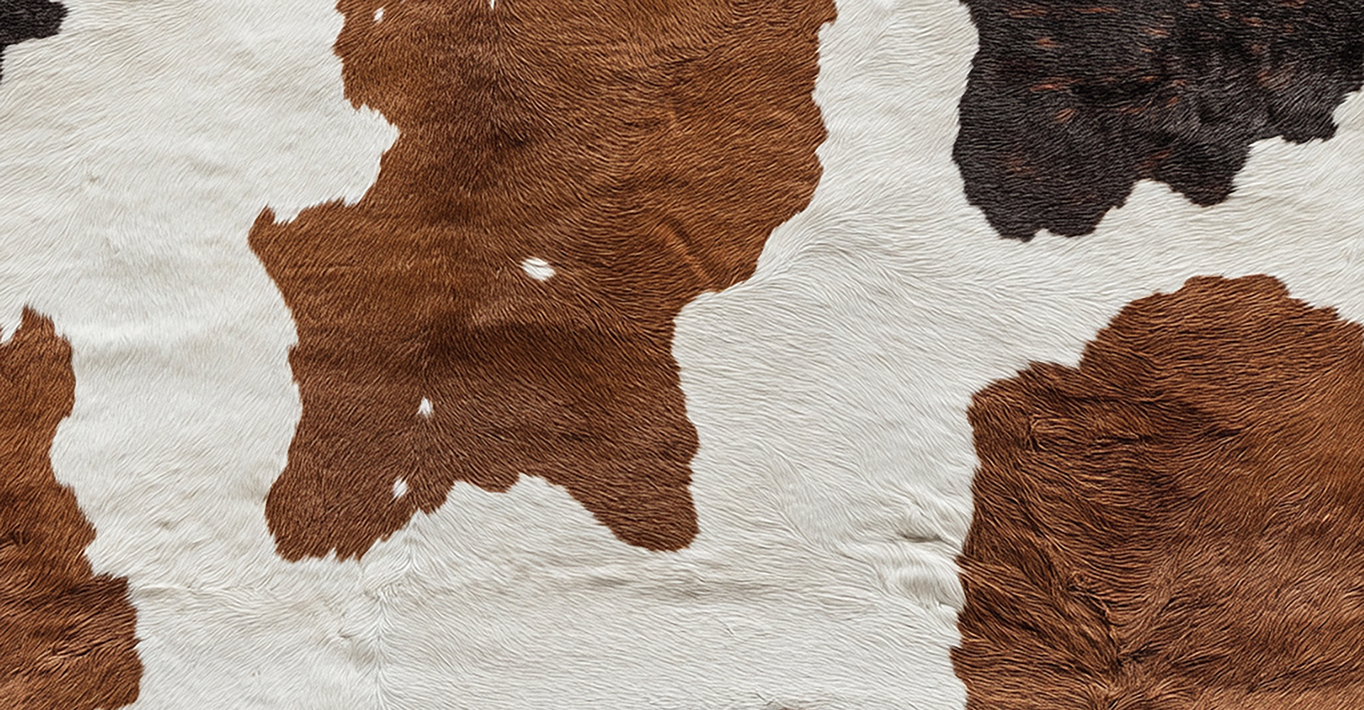 FAKuh`s - Allgäuer Hof-Milch GmbH